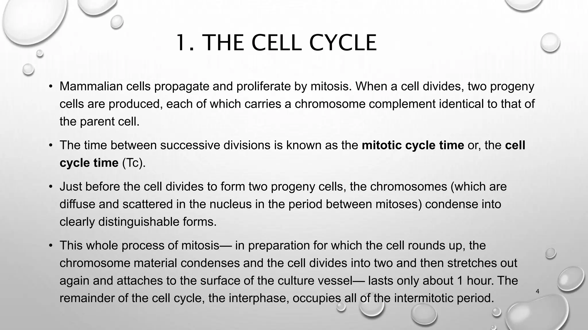 2. Radio sensitivity and cell age in the mitotic cycle.pptx
