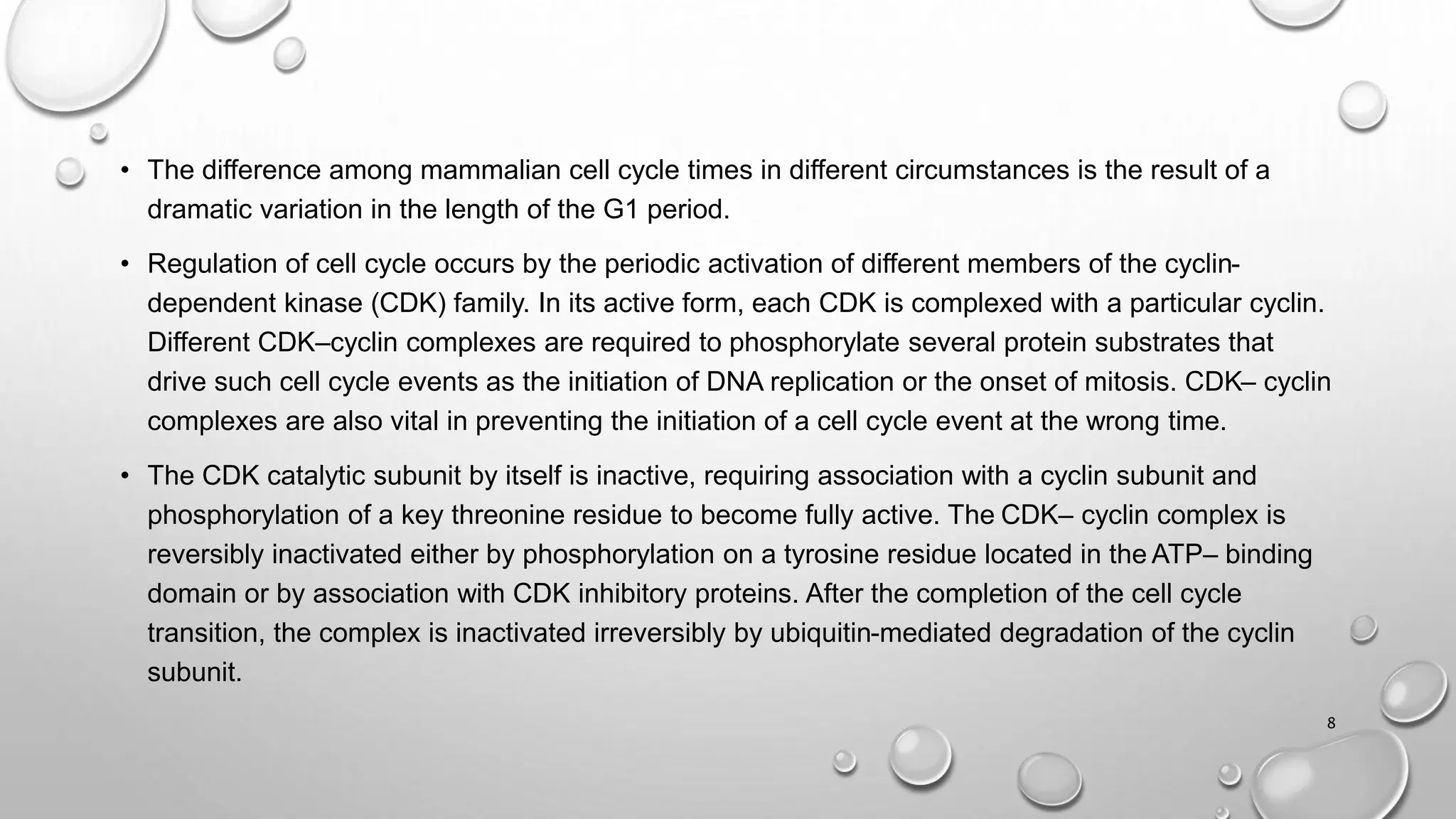 2. Radio sensitivity and cell age in the mitotic cycle.pptx