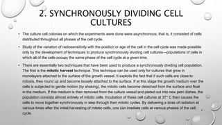2. Radio sensitivity and cell age in the mitotic cycle.pptx