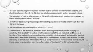 2. Radio sensitivity and cell age in the mitotic cycle.pptx
