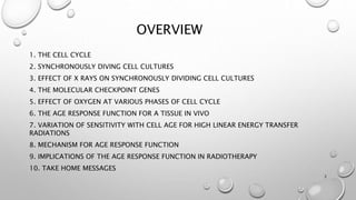 2. Radio sensitivity and cell age in the mitotic cycle.pptx