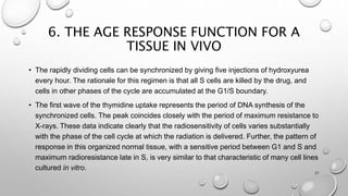 2. Radio sensitivity and cell age in the mitotic cycle.pptx