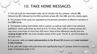 2. Radio sensitivity and cell age in the mitotic cycle.pptx
