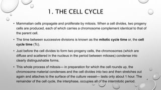 2. Radio sensitivity and cell age in the mitotic cycle.pptx