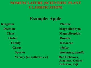 2. Botanical based classification of horticultural plants (2).pptx