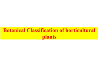 2. Botanical based classification of horticultural plants (2).pptx
