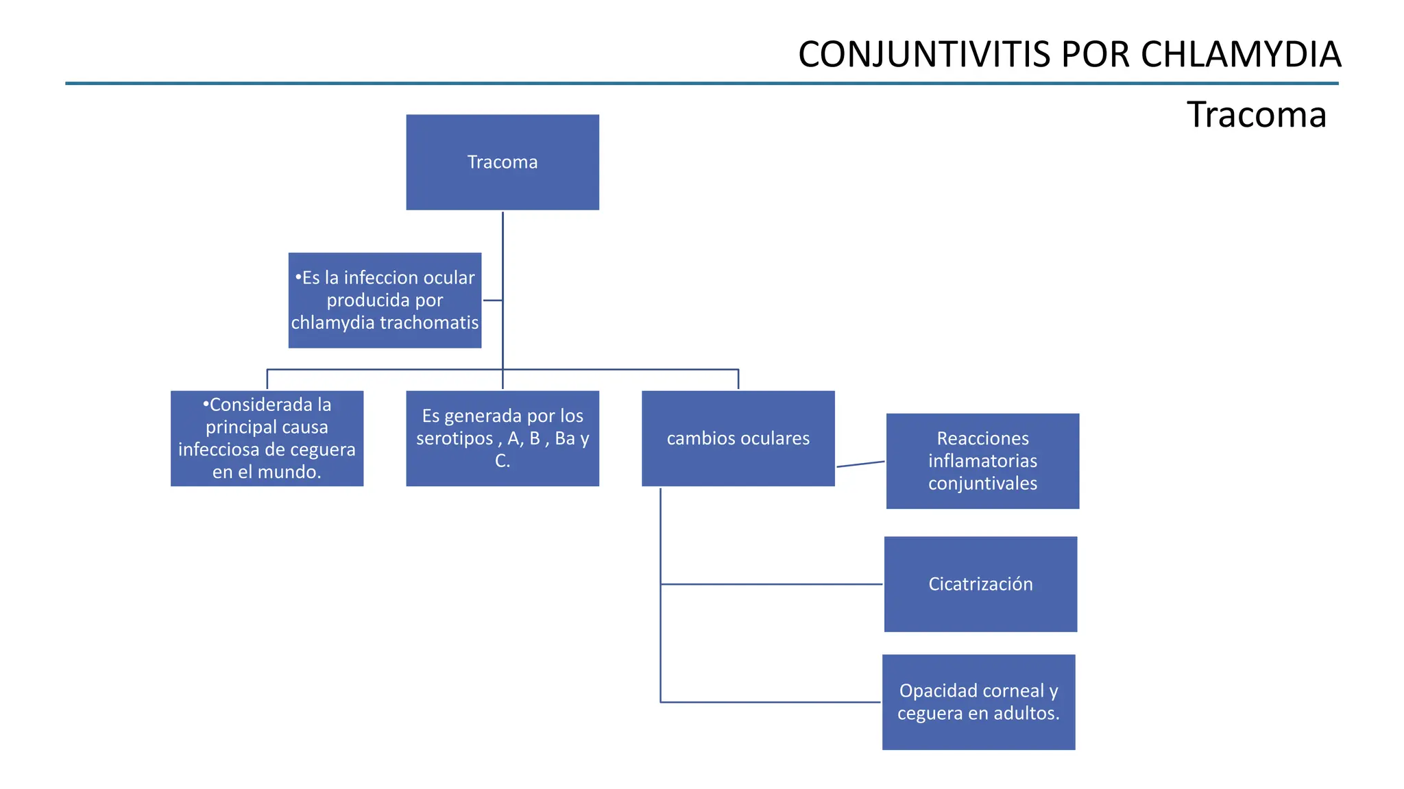 2.- CONJUNTIVITIS CLAMIDIA.pptx--.......... | PPTX
