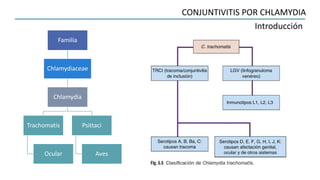 2.- CONJUNTIVITIS CLAMIDIA.pptx--.......... | PPTX