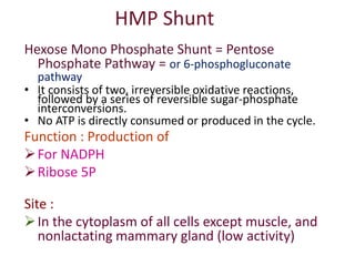 Hexose monophosphate pathway/Pentose phosphate pathway.pptx | Endocrine ...