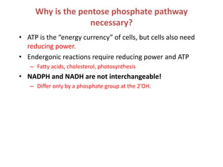 Hexose monophosphate pathway/Pentose phosphate pathway.pptx