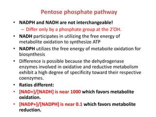 Hexose monophosphate pathway/Pentose phosphate pathway.pptx