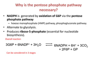 Hexose monophosphate pathway/Pentose phosphate pathway.pptx