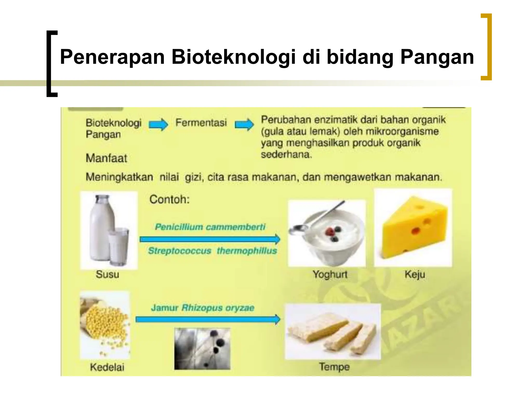 Peran Bioteknologi peran dan prospek.ppt