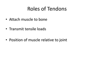 2. tendons and ligaments.ppt | Death, Injury, or Military Conflict ...