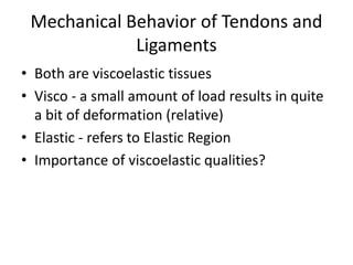 2. tendons and ligaments.ppt | Death, Injury, or Military Conflict | Sensitive Topics