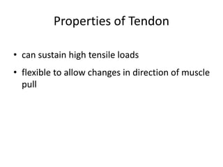 2. tendons and ligaments.ppt | Death, Injury, or Military Conflict ...