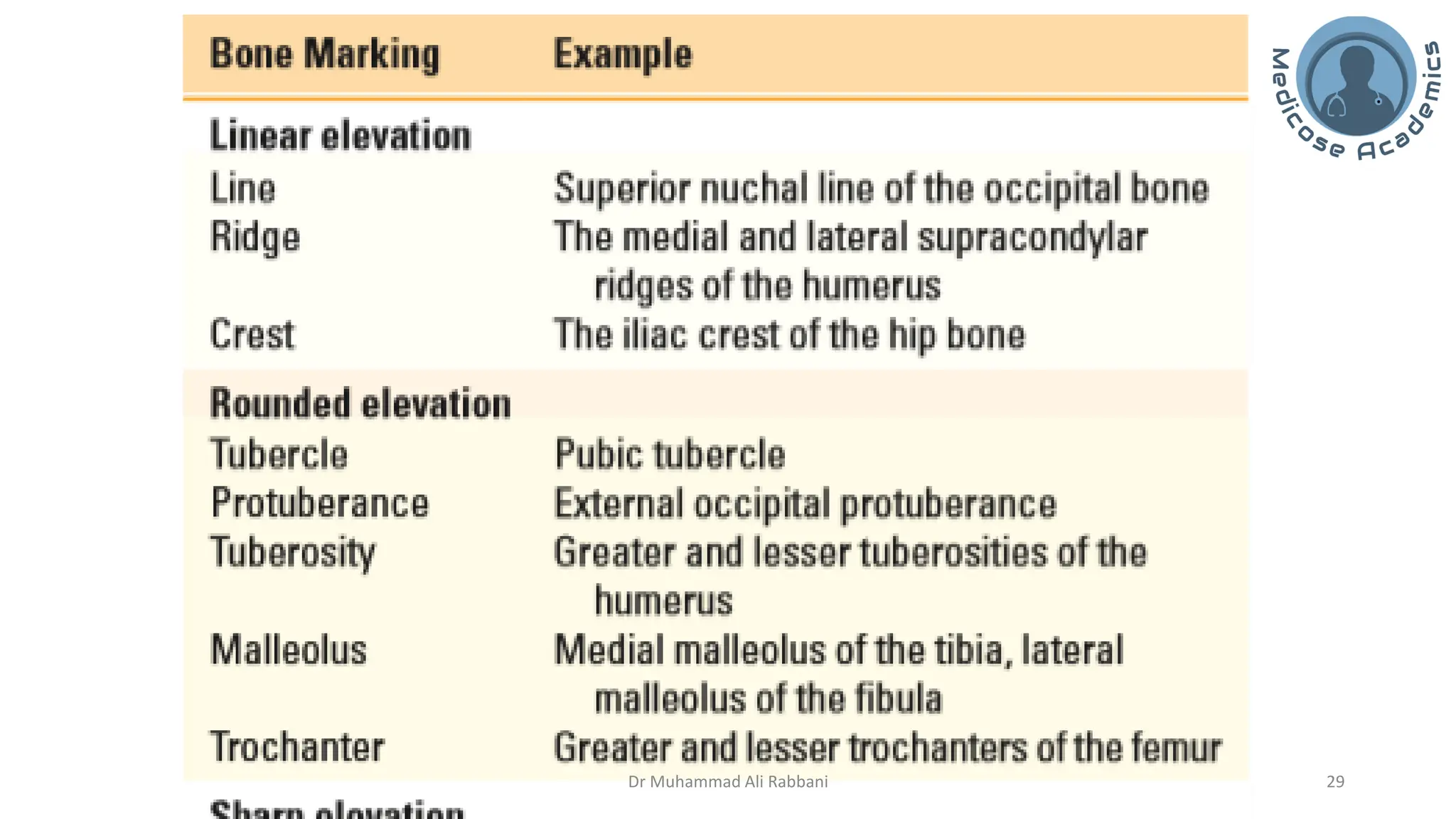 General Anatomy of Bone, Skeleton, and Cartilage | PDF