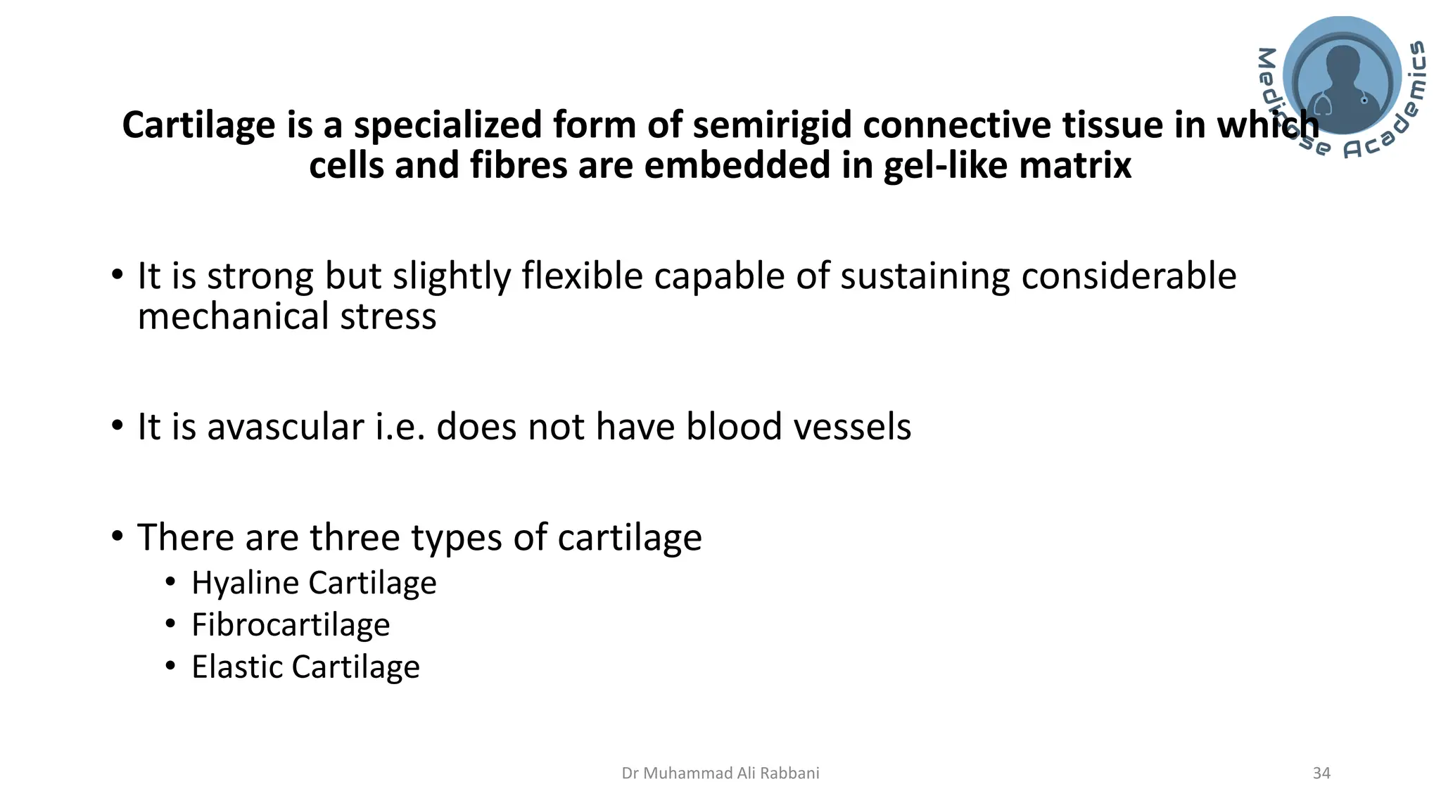 General Anatomy of Bone, Skeleton, and Cartilage | PDF