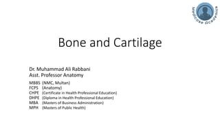 General Anatomy of Bone, Skeleton, and Cartilage | PDF