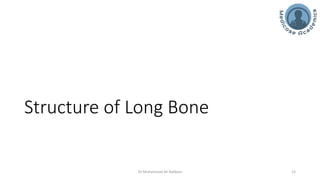 General Anatomy of Bone, Skeleton, and Cartilage | PDF