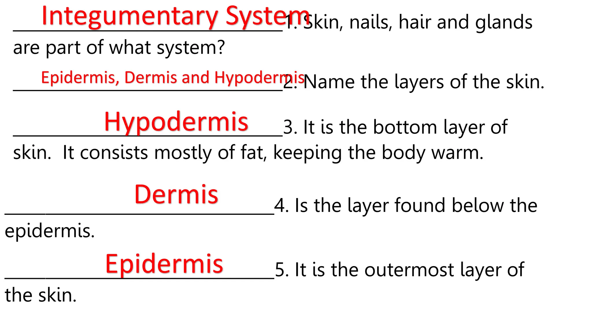 Integumentary System | PPT