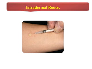 2. Routes of Drug Administration.pptx