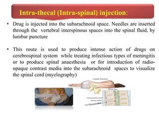 2. Routes of Drug Administration.pptx