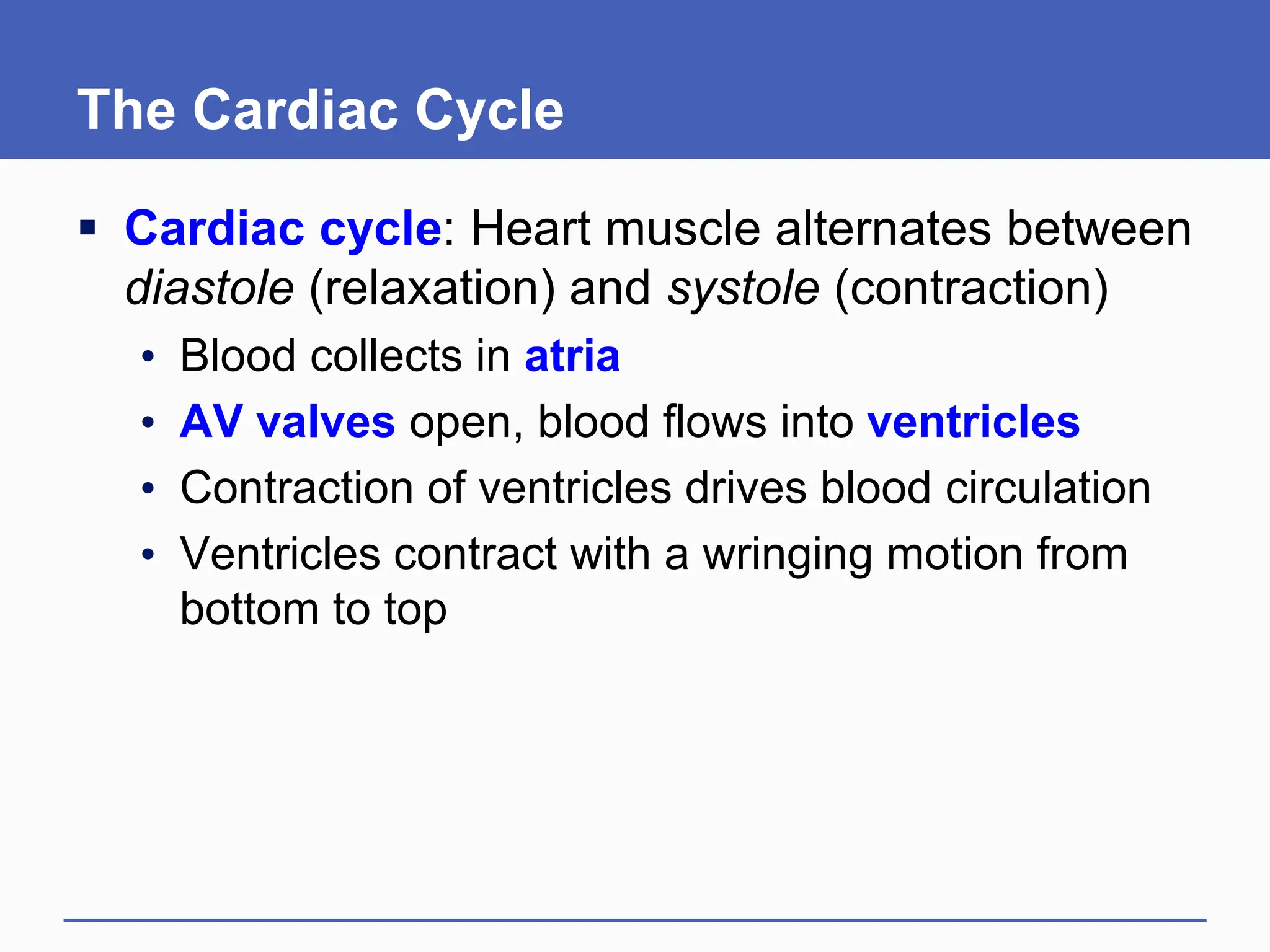 Circulatory System BY: EMYLIE LANTORIA.pptx