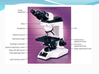 2.0 - Types of Light Microscope.pptx ppt | PPT