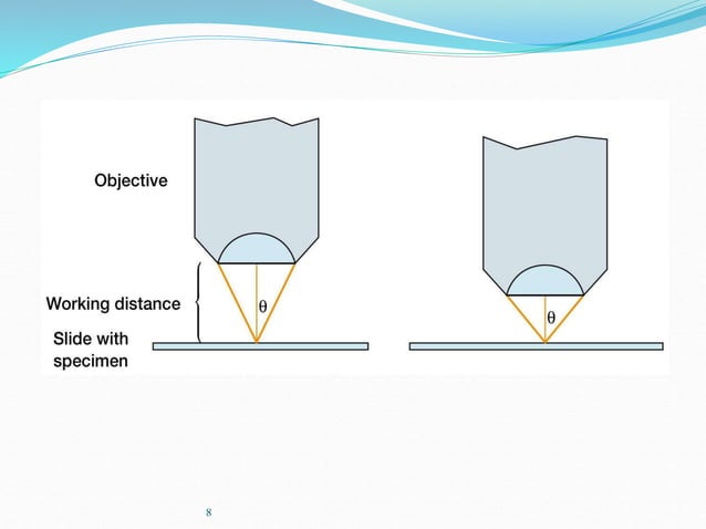 2.0 - Types of Light Microscope.pptx ppt | PPT