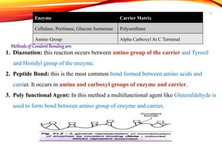 2.Introduction to Enzyme biotechnology.pptx