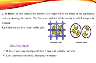2.Introduction to Enzyme biotechnology.pptx