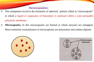 2.Introduction to Enzyme biotechnology.pptx