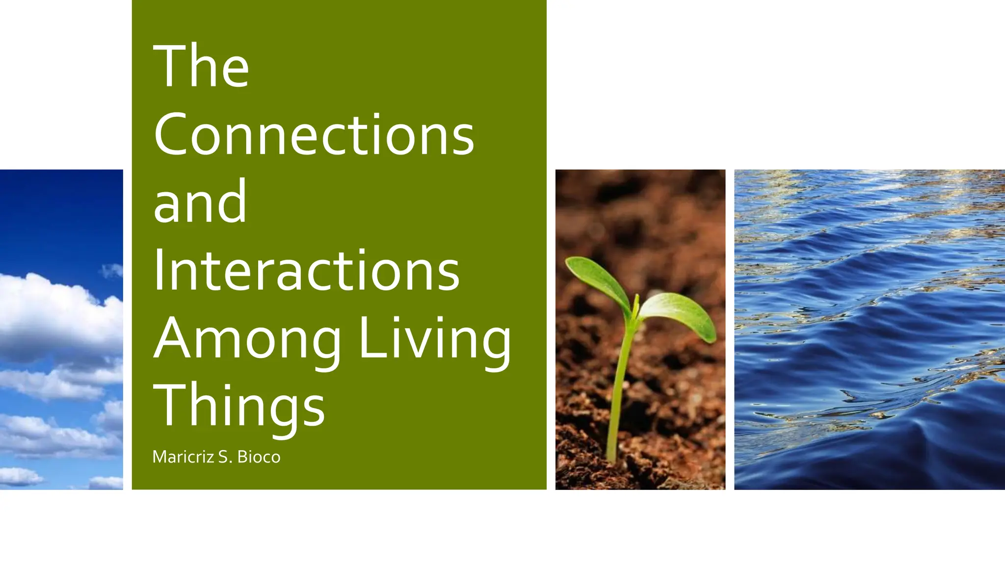 2. The Connections and Interactions Among Living Things.pptx