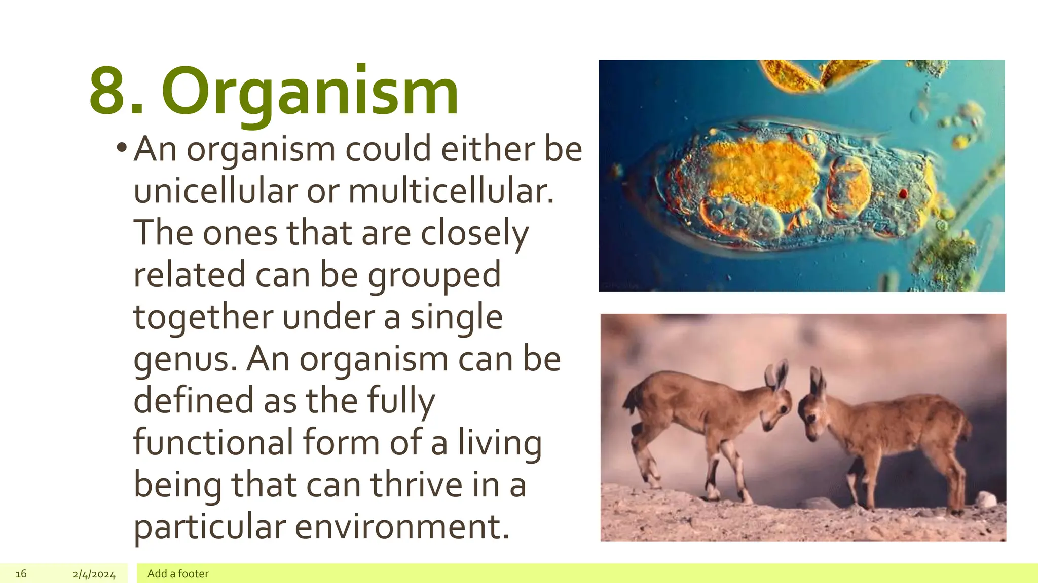 2. The Connections and Interactions Among Living Things.pptx