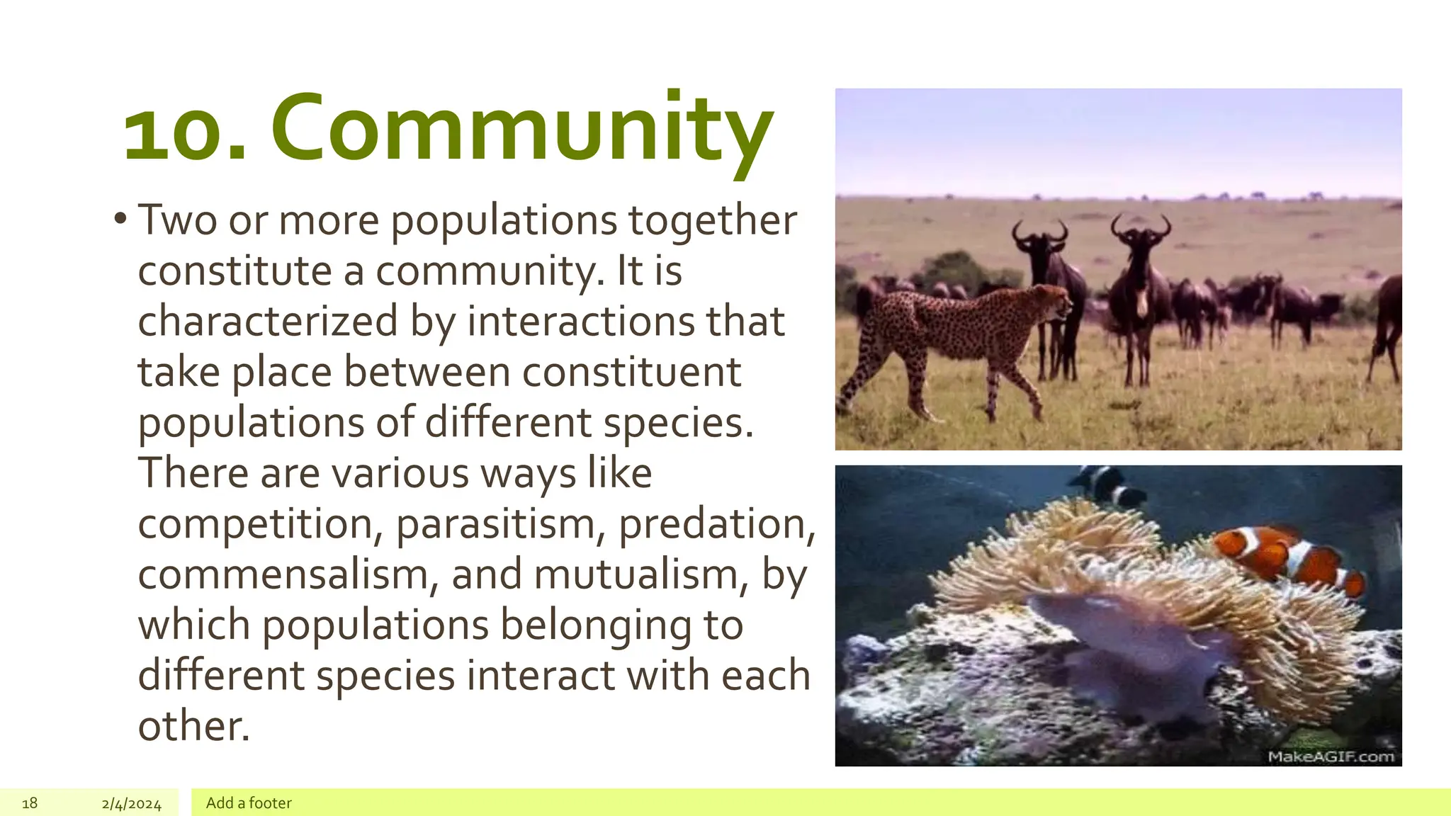 2. The Connections and Interactions Among Living Things.pptx