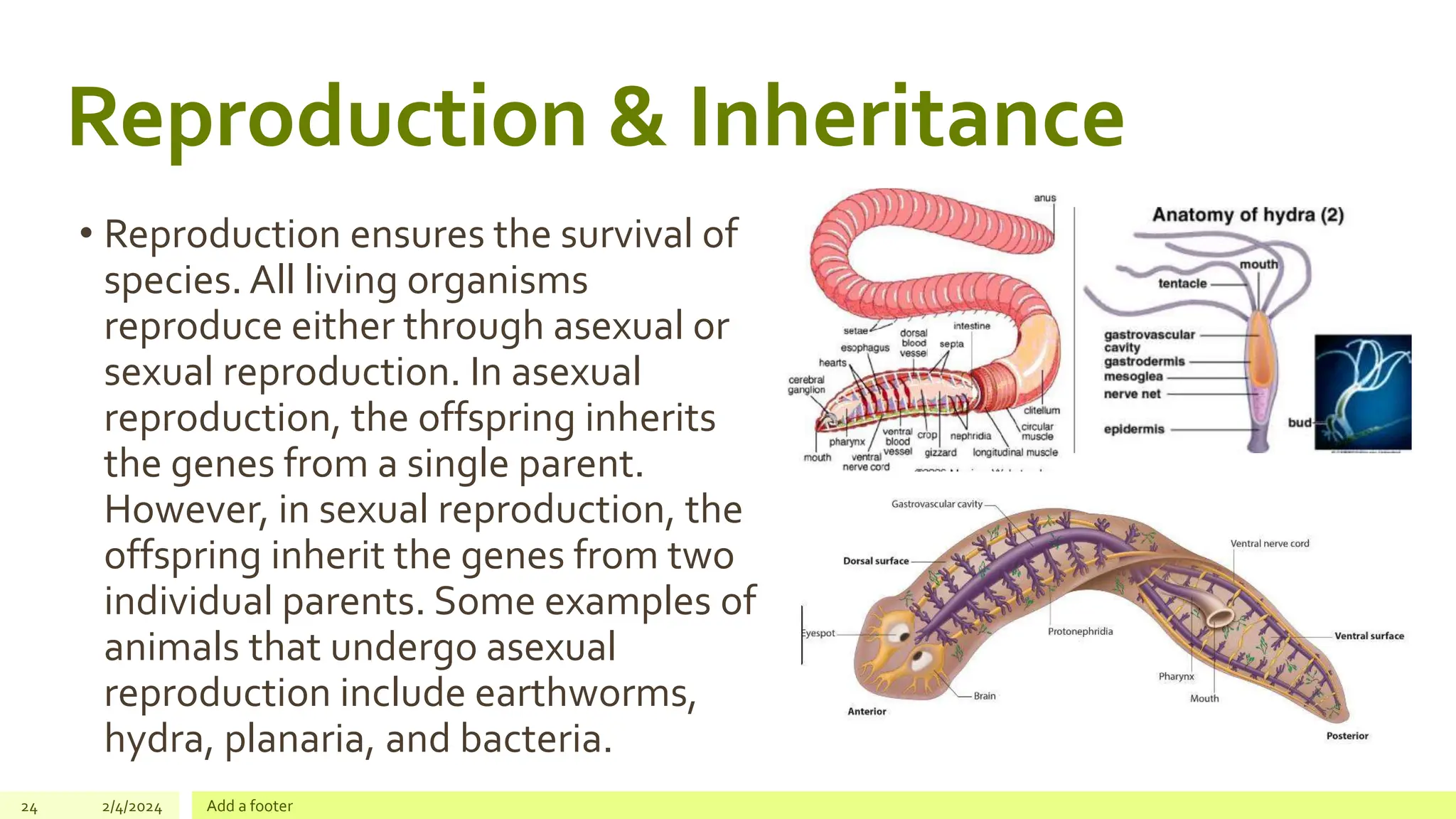 2. The Connections and Interactions Among Living Things.pptx