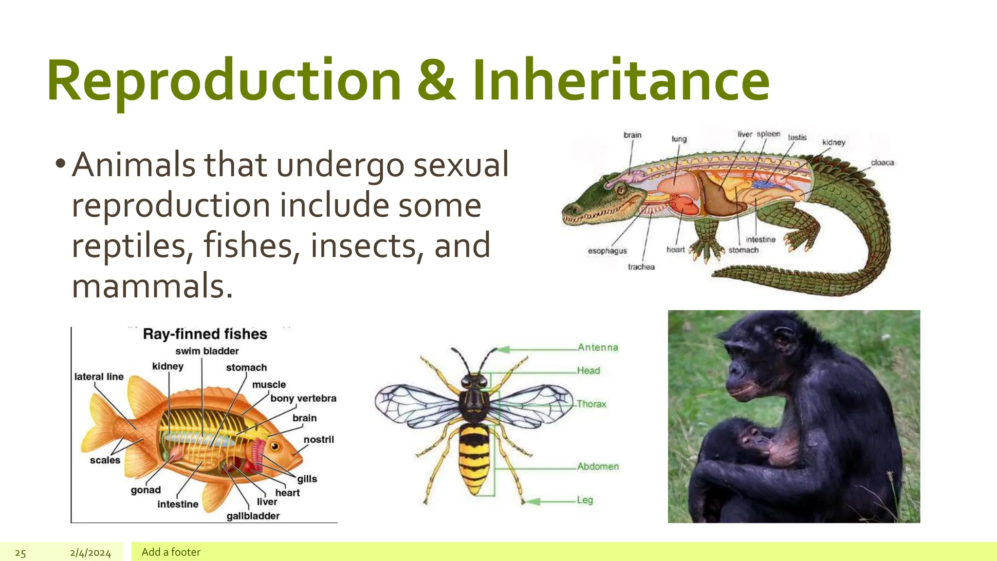 2. The Connections and Interactions Among Living Things.pptx