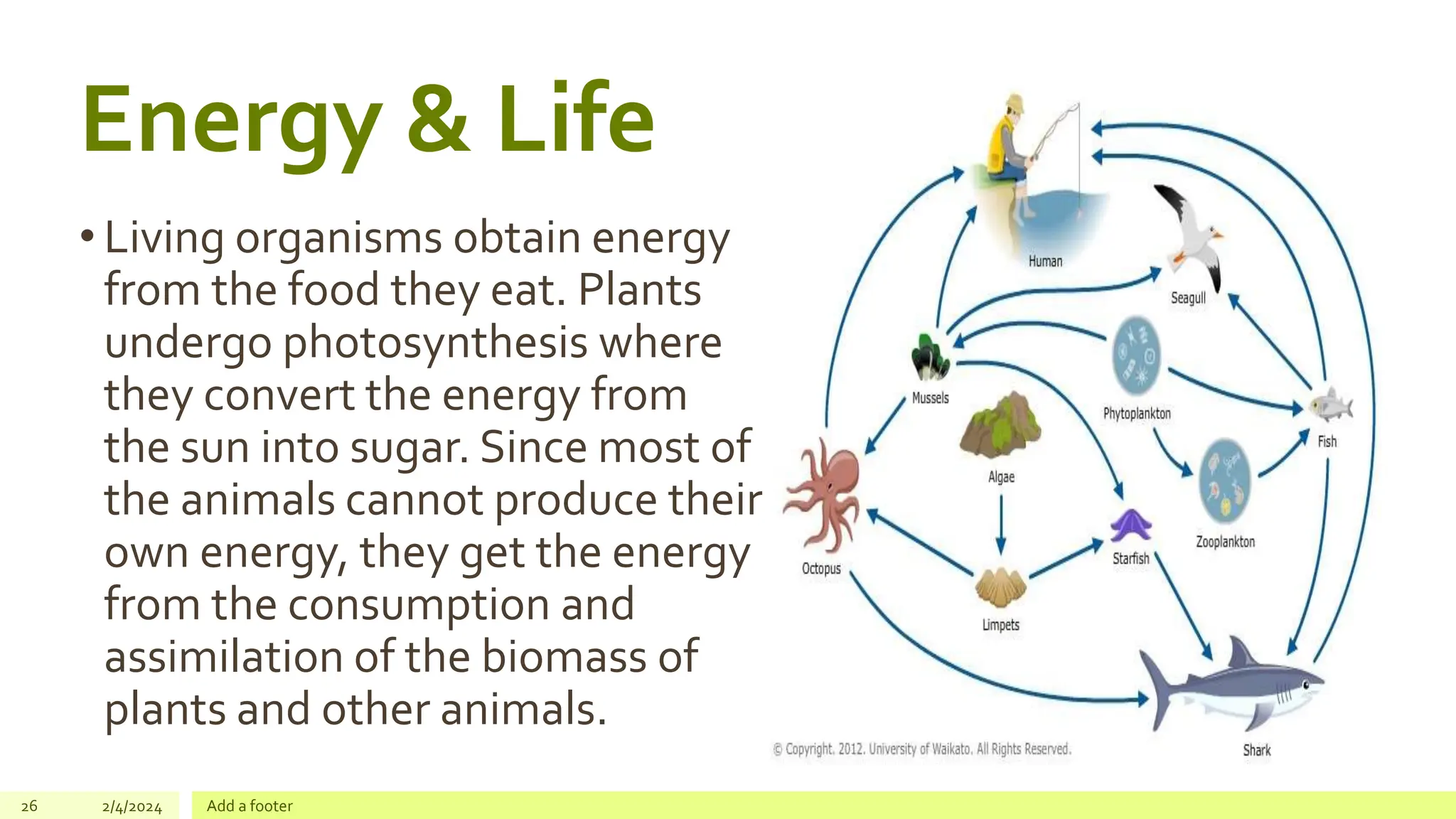 2. The Connections and Interactions Among Living Things.pptx
