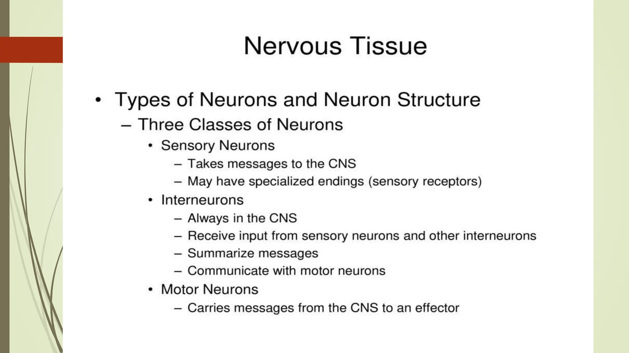 2. Physiology of the Nervous Sys Homeostasis.pptx