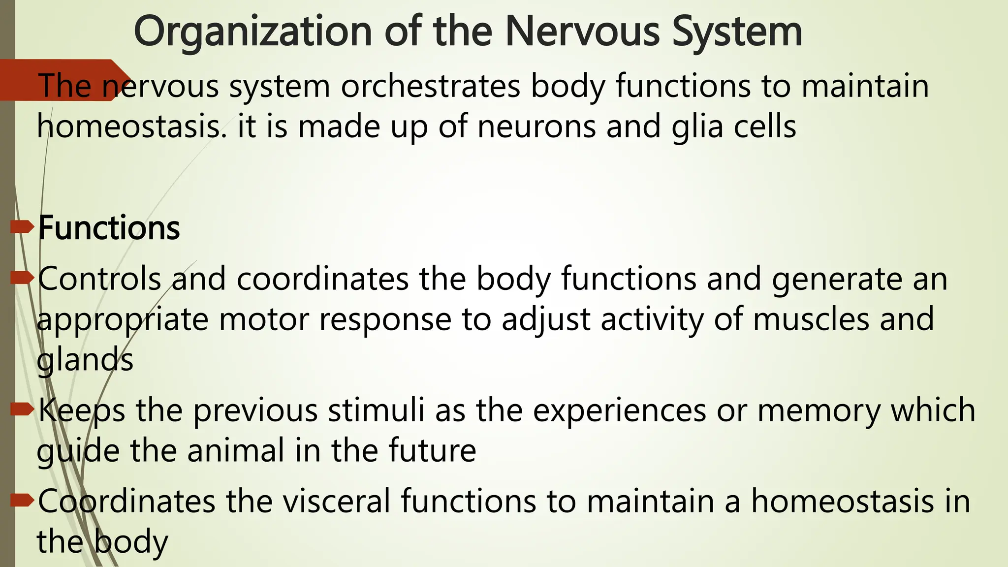 2. Physiology of the Nervous Sys Homeostasis.pptx