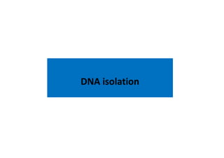 DNA isolation | PPT
