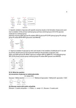 Carbohydrates | IGNOU Biochemistry • CHE9 (English/Hinglish) | PDF