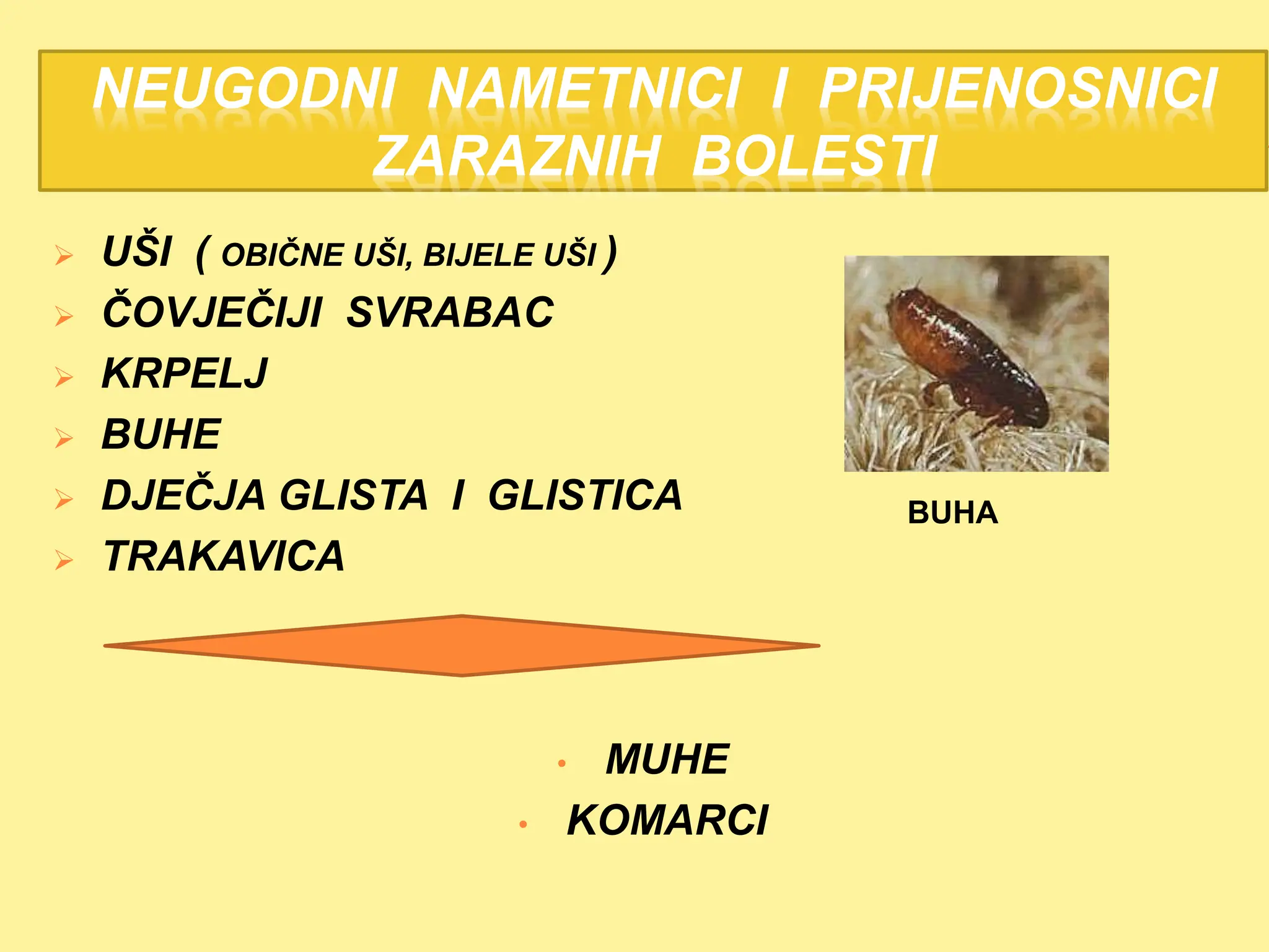 2. ZARAZNE BOLESTI.pptx