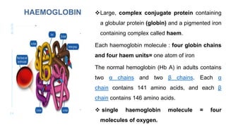 2. .BLOOD anatomy and physiology lymphatic y | PPTX