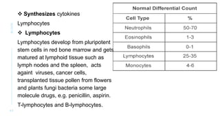 2. .BLOOD anatomy and physiology lymphatic y | PPTX
