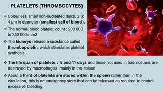 2. .BLOOD anatomy and physiology lymphatic y | PPTX