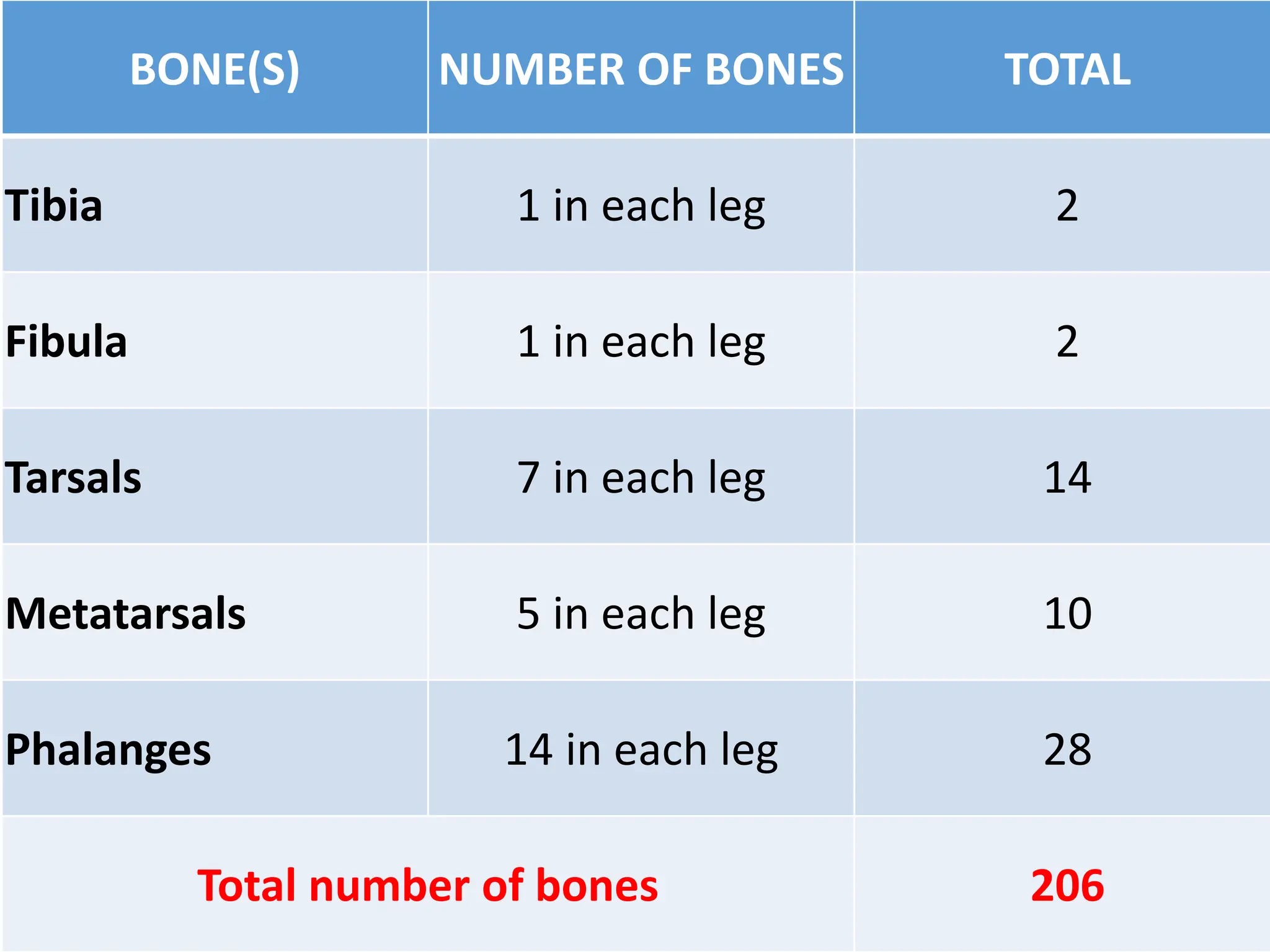 2.-ANATOMY-AND-PHYSIOLOGY-OF-HUMAN-BODY.rtf-1.pdf