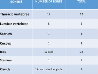 2.-ANATOMY-AND-PHYSIOLOGY-OF-HUMAN-BODY.rtf-1.pdf