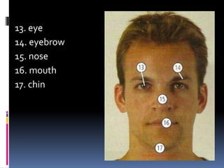 2.-ANATOMY-AND-PHYSIOLOGY-OF-HUMAN-BODY.rtf-1.pdf
